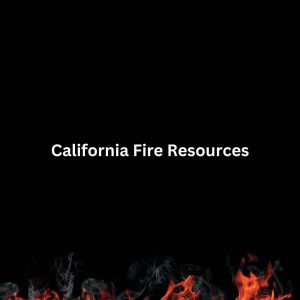 Blog Archives - Arts & Entertainment Ministries